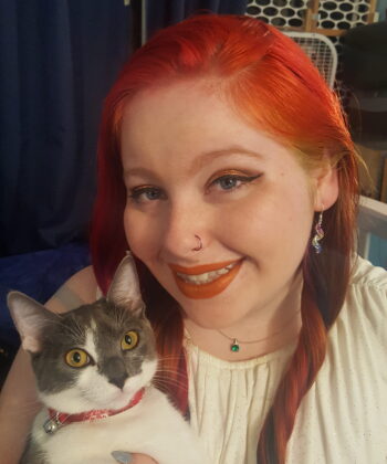 Town Cats – Adopt your purrfect friend for life!