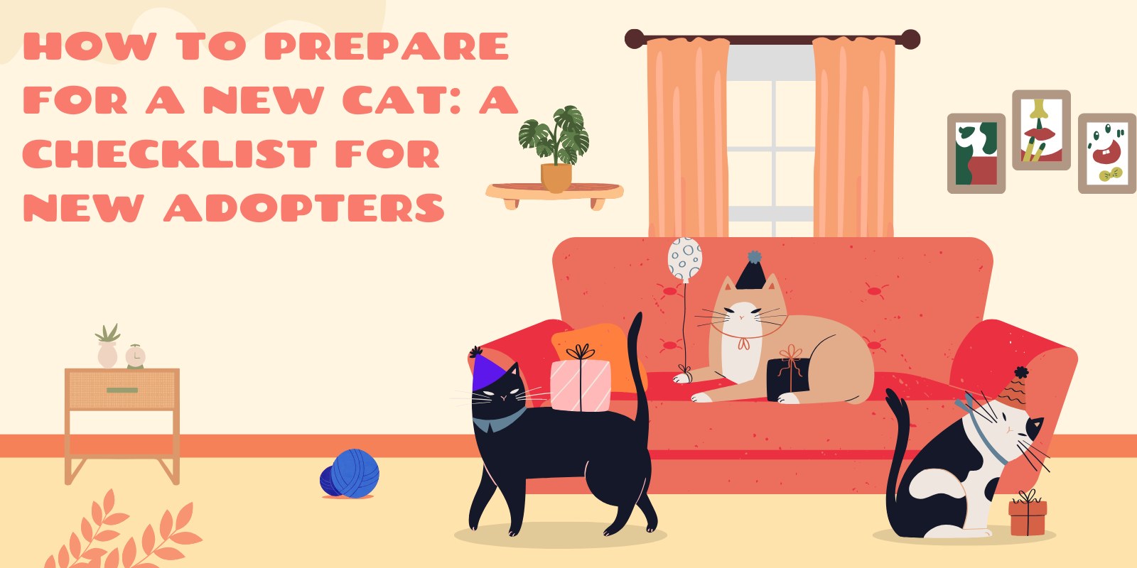 How to Prepare for a New Cat: A Checklist for New Adopters – Town Cats