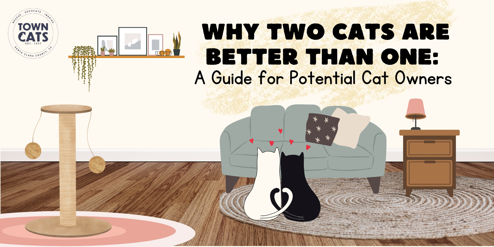 Why Two Cats Are Better Than One: A Guide for Potential Cat Owners ...